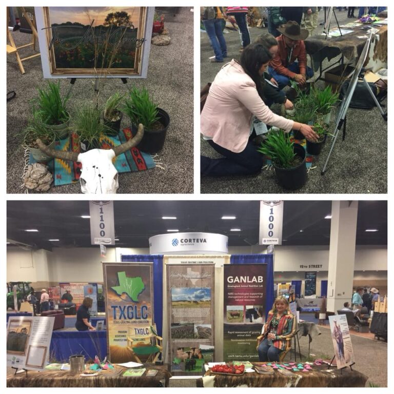 Fort Worth Botanic Garden | A Natural Nature Networker