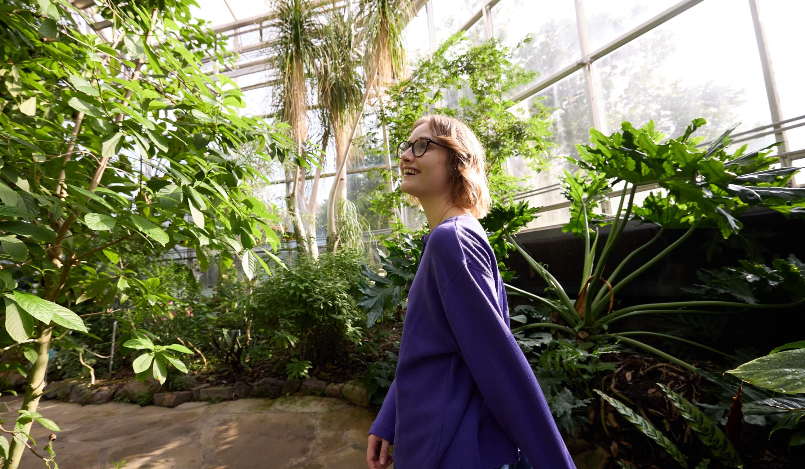 Butterflies in the Garden Tours | Fort Worth Botanic Garden