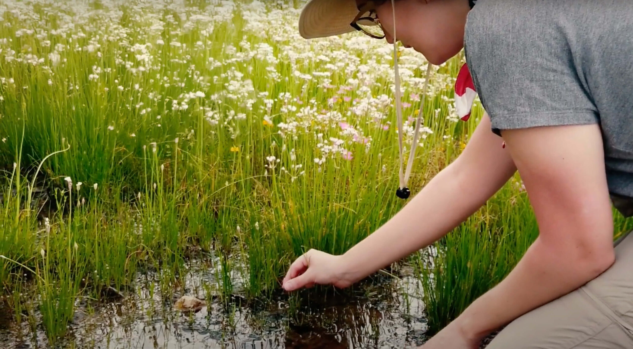 Texas Oklahoma Regional Consortia of Herbaria (TORCH) NSF TCN Project ...