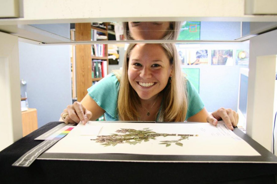 Herbarium Digitization | FWBG | BRIT Herbarium