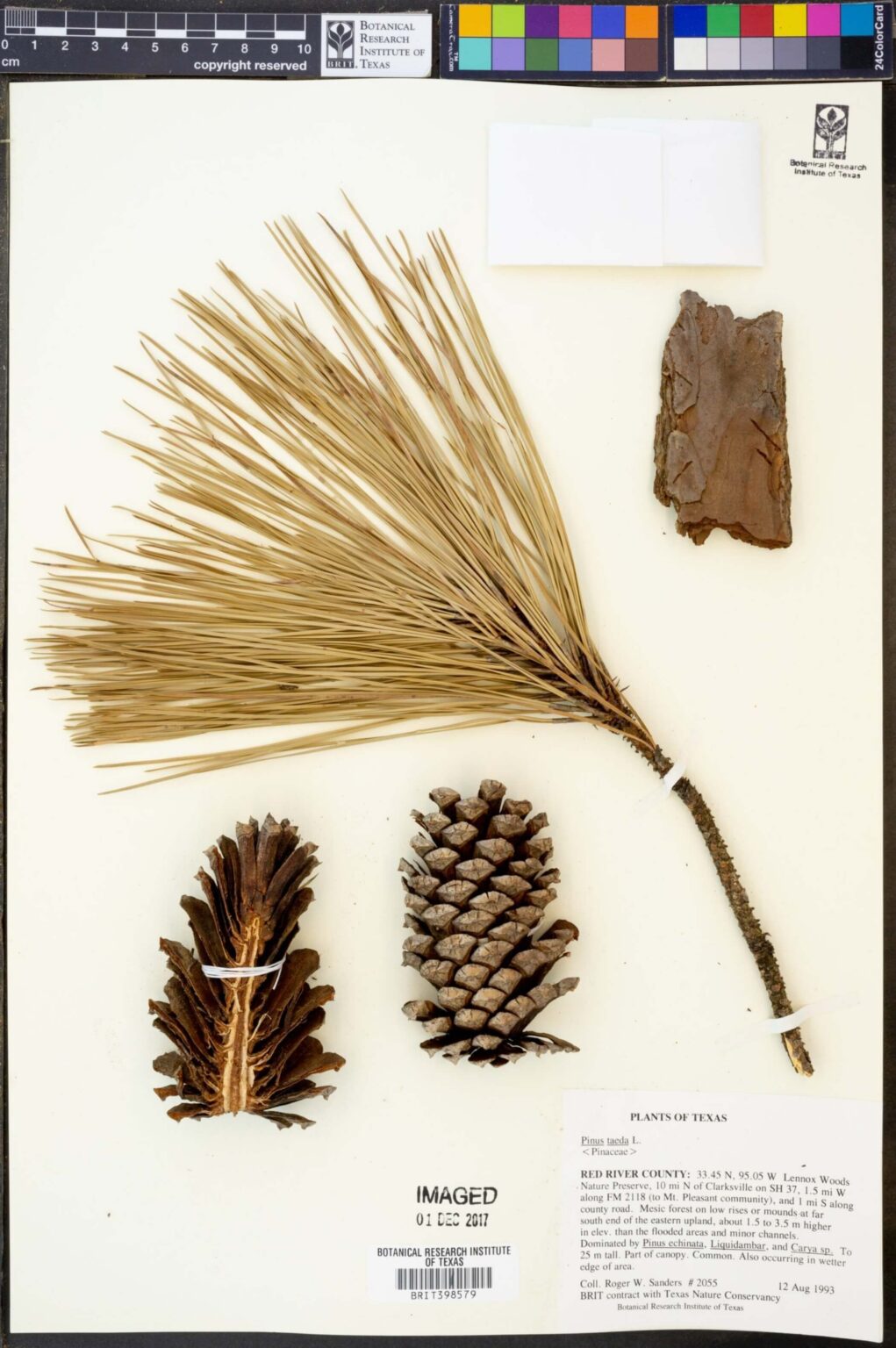 Texas Oklahoma Regional Consortia of Herbaria (TORCH) NSF TCN Project ...