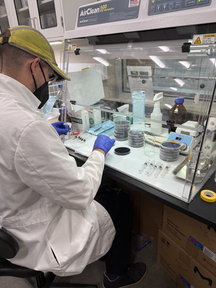 Conservation Seed Laboratory and Seed Bank | Research Programs | Fort ...